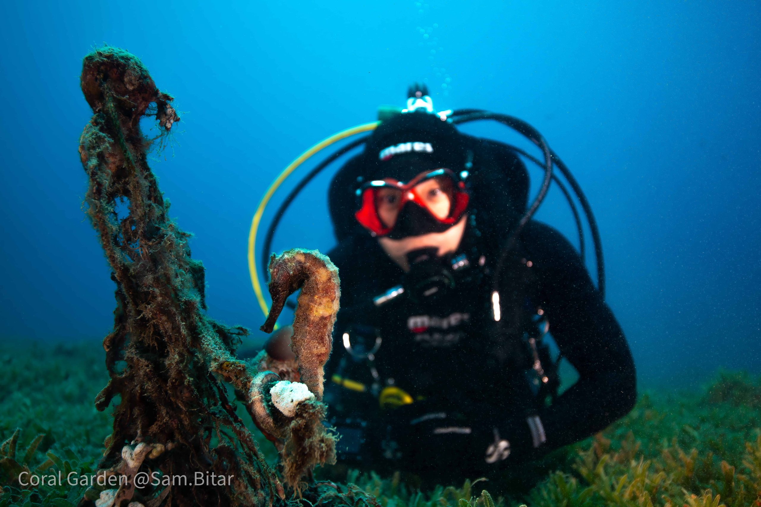 Fun and interesting facts about scuba diving