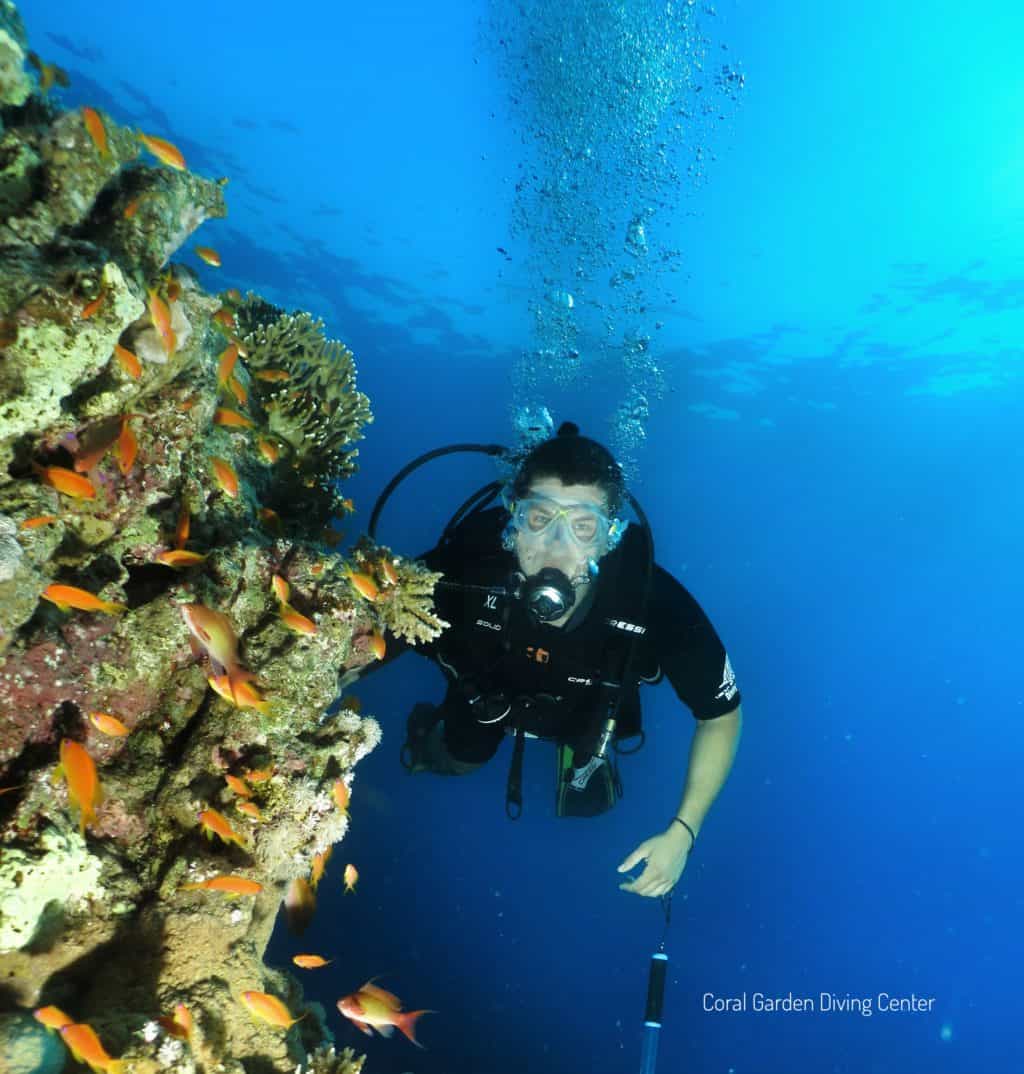 Our Photo Gallery Of Daily Trips in Aqaba- Coral Garden Diving Center