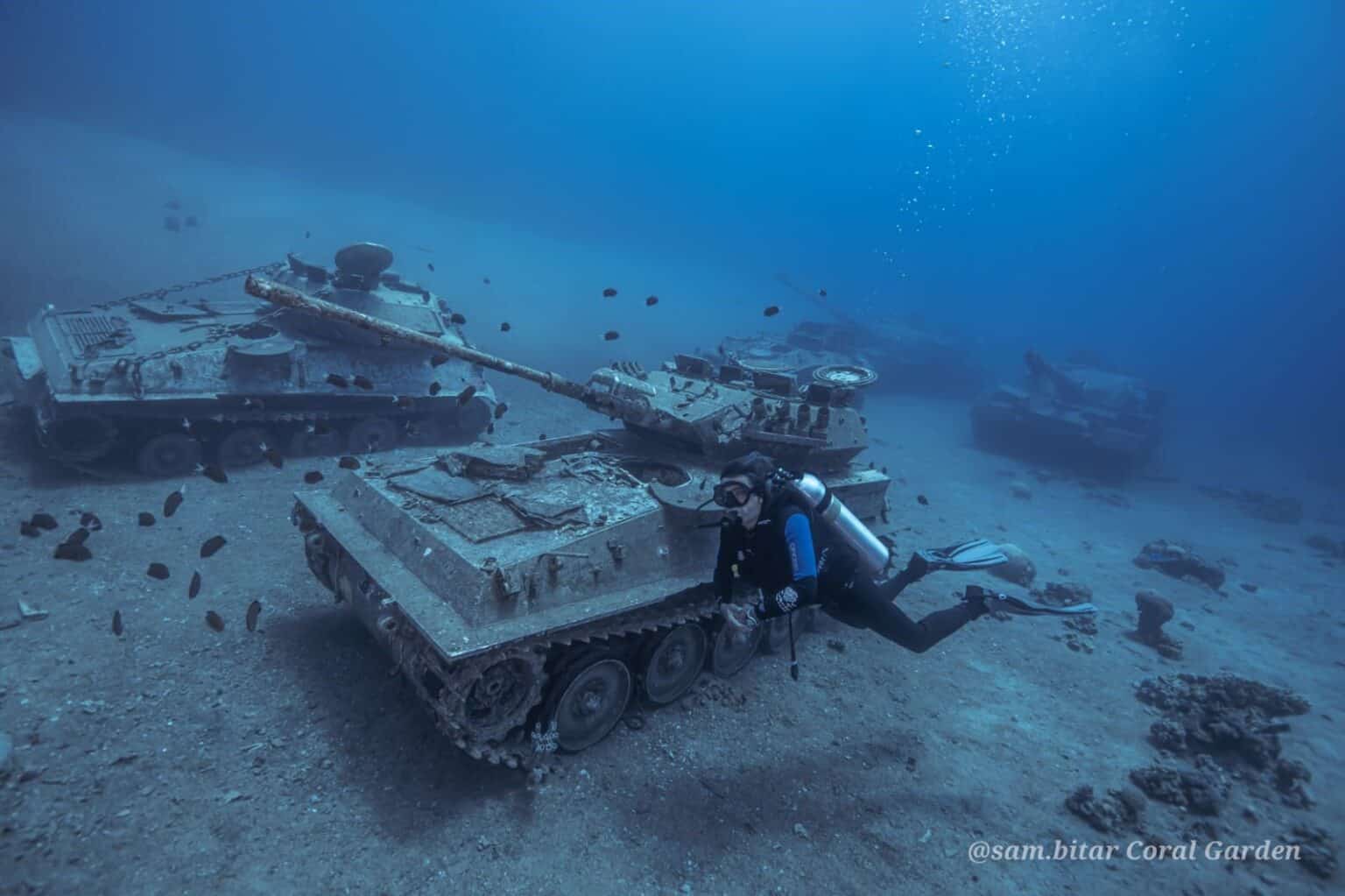 Dive sites Aqaba, Jordan - Coral Garden Diving Center